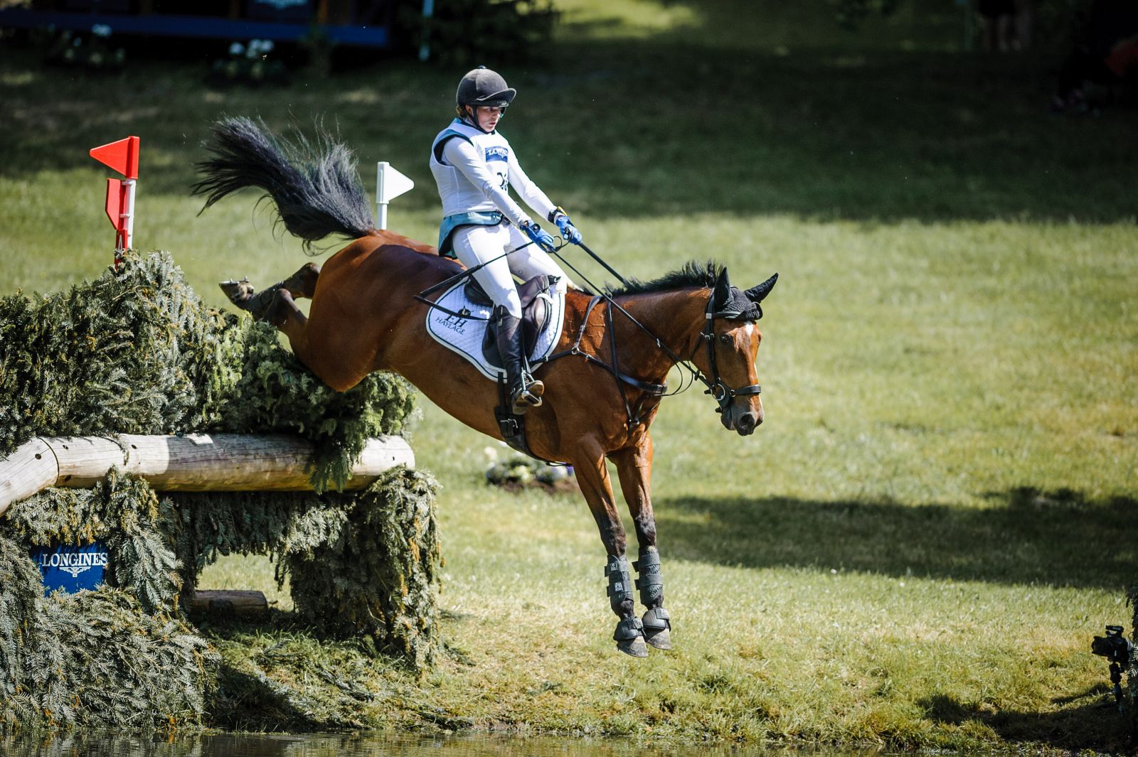 Who Jumped it Best? The Luhmühlen Longines Water Edition | Eventing ...