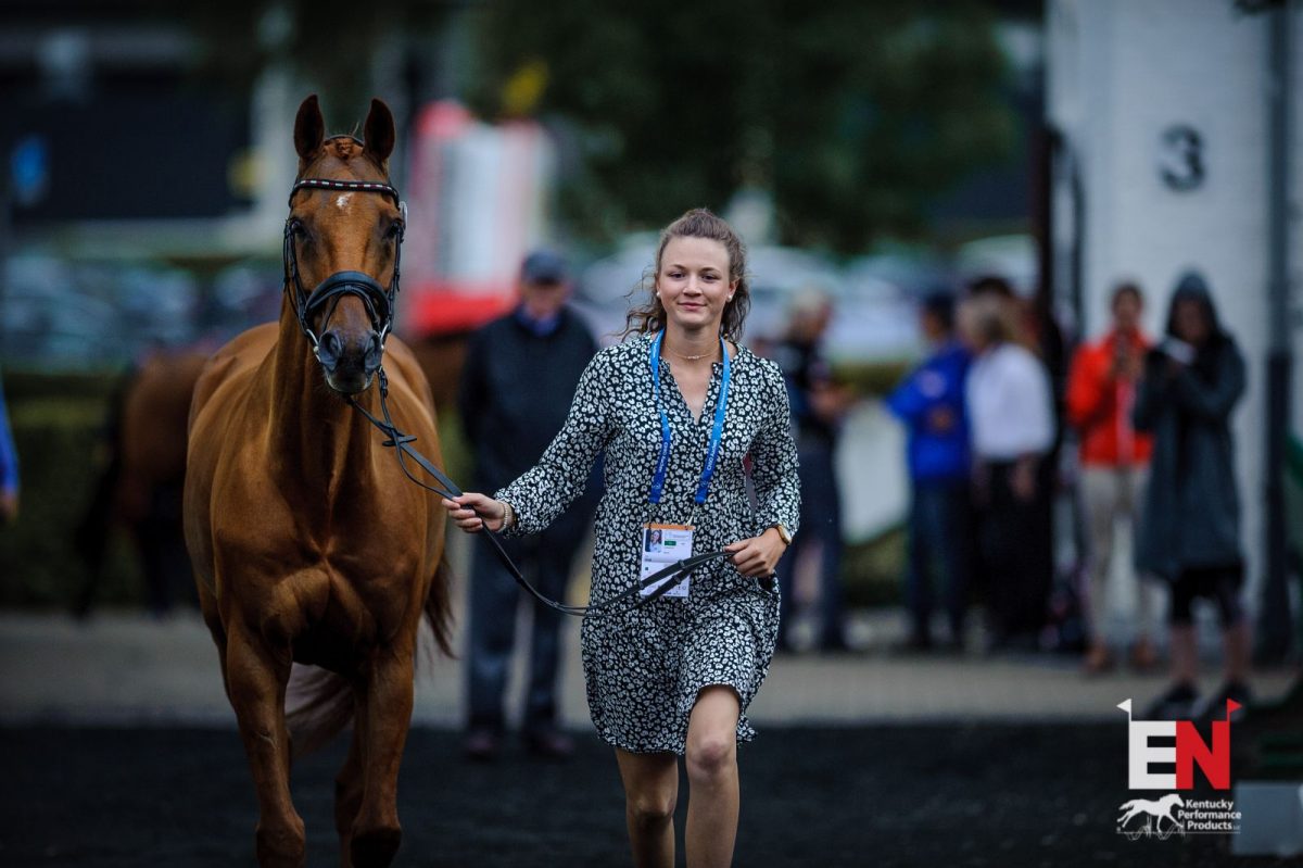 FHI_LeaSiegl_DSPFIGHTINGLINE | Eventing Nation - Three-Day Eventing ...