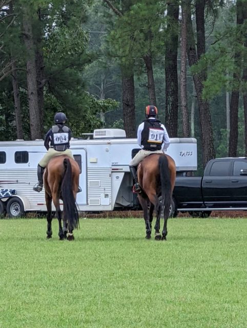 #ICYMI: Courtney Carson and Vandiver Enjoy the Moment at War Horse (and ...