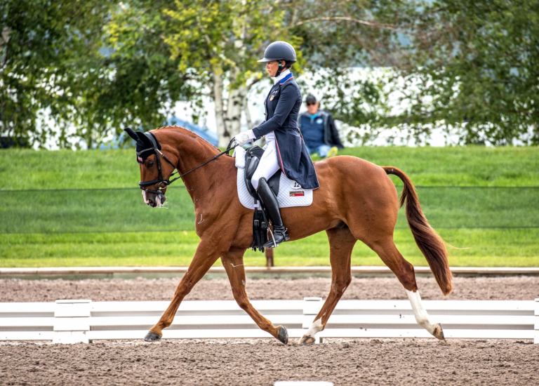 Classic Eventing Nation | Eventing Nation - Three-Day Eventing News ...