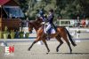 Classic Eventing Nation | Eventing Nation - Three-Day Eventing News ...