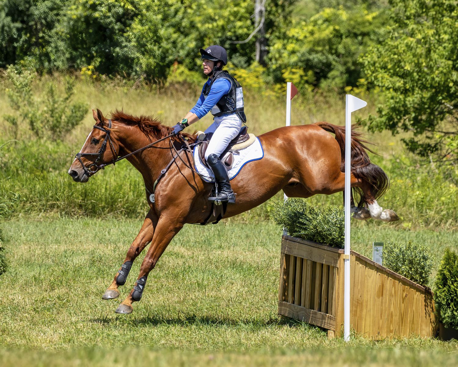 Incredible Prize Klaxon: Win a Haygain Hay Steamer at the AECs! | Eventing Nation - Three-Day ...