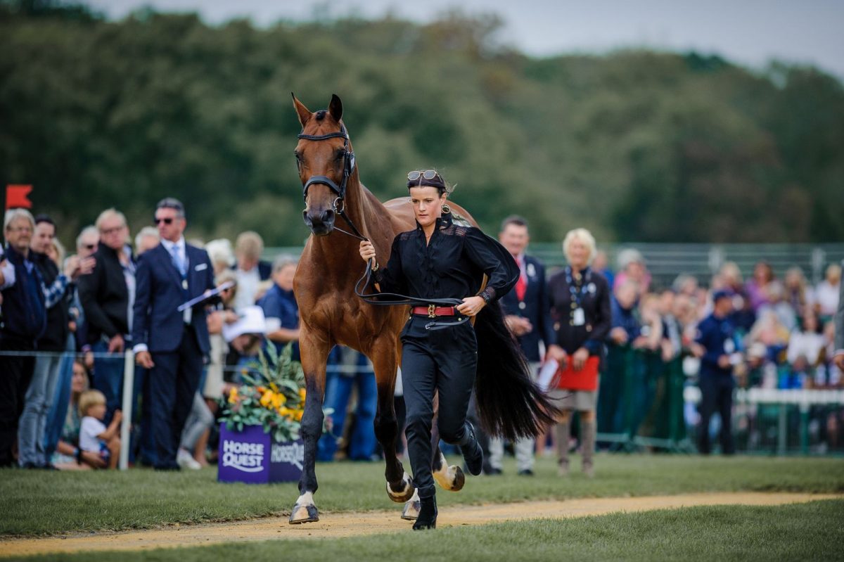 Two Held – Including One From Top Ten – in Burghley Final Horse ...