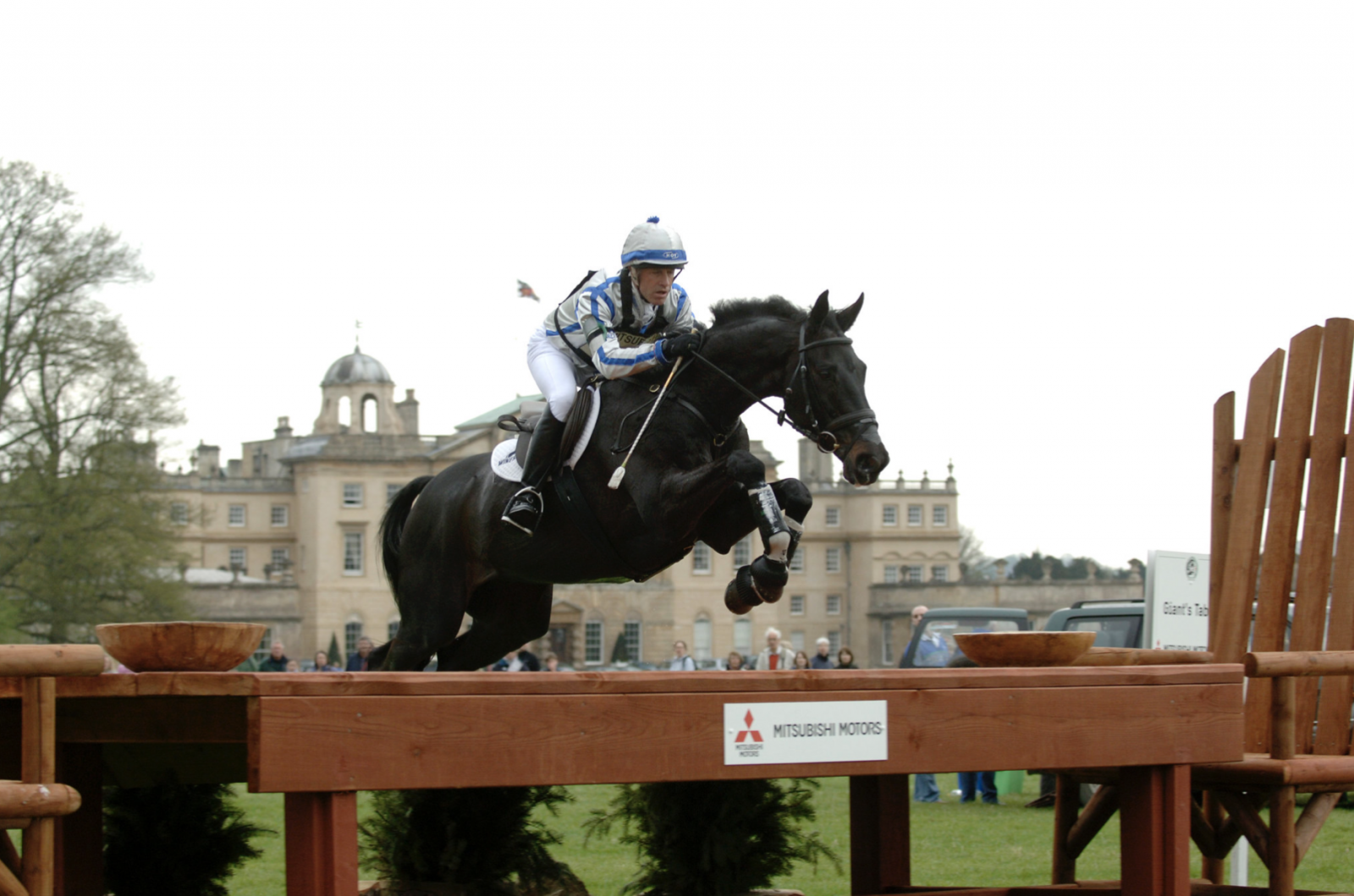 The Fantastic Fourteen: Meet the Horses Who’ve Done the Badminton and ...