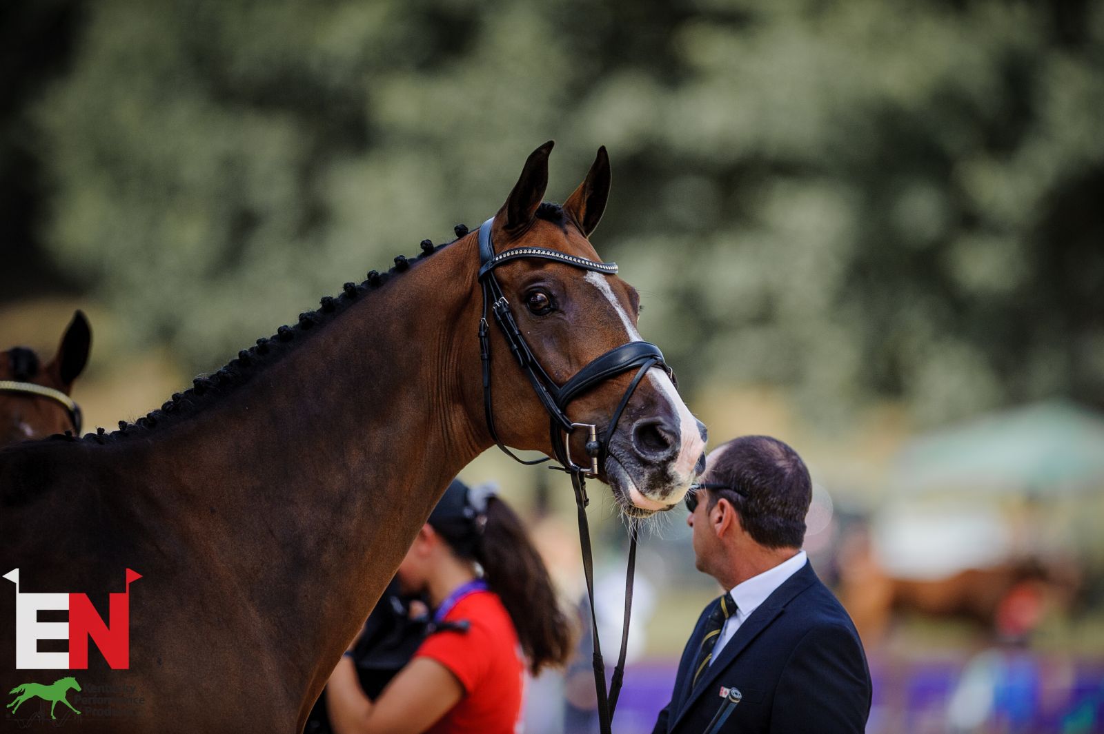 Pratoni è Bellissimo: Sights and Sounds from the First Horse Inspection ...