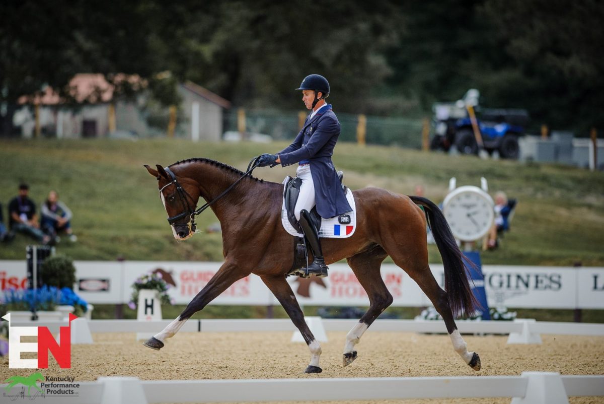 The Final Countdown to Paris: Luhmühlen Entries Go Live with Two Red ...