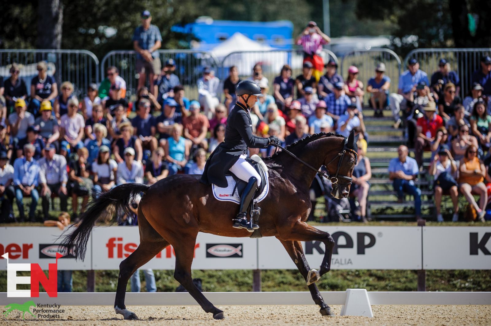 Das Ist Gut, Indeed: Magic Mike Leads the Dressage at the World ...