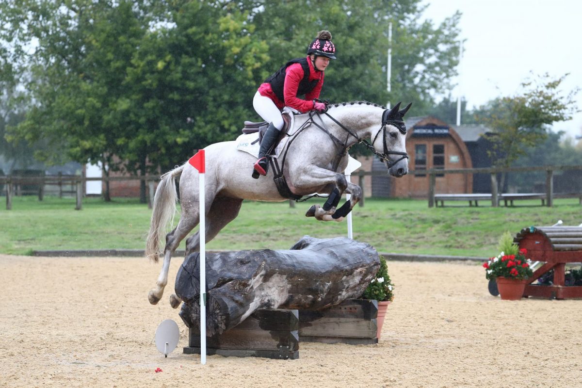 Bred for the Job: Ellie Fredericks Takes NEXGEN Four-Year-Old Final on ...