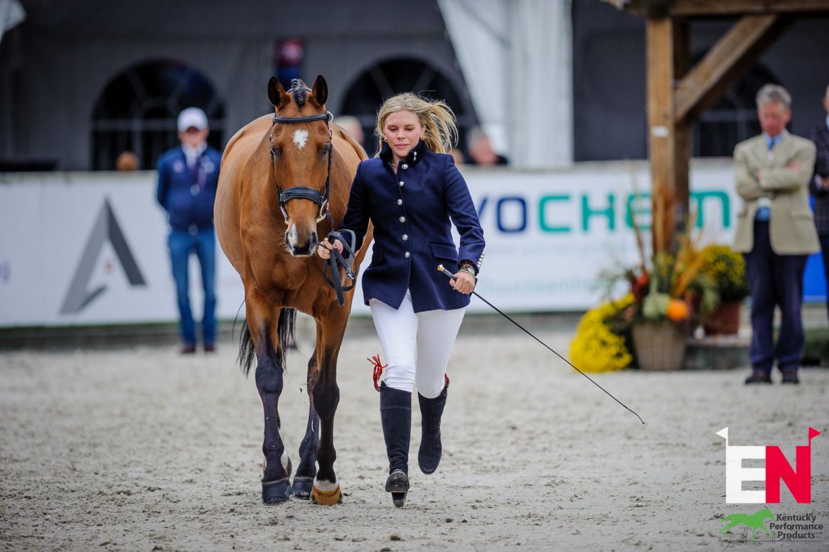 Five Horses Held, All Accepted in Boekelo’s First Horse Inspection ...