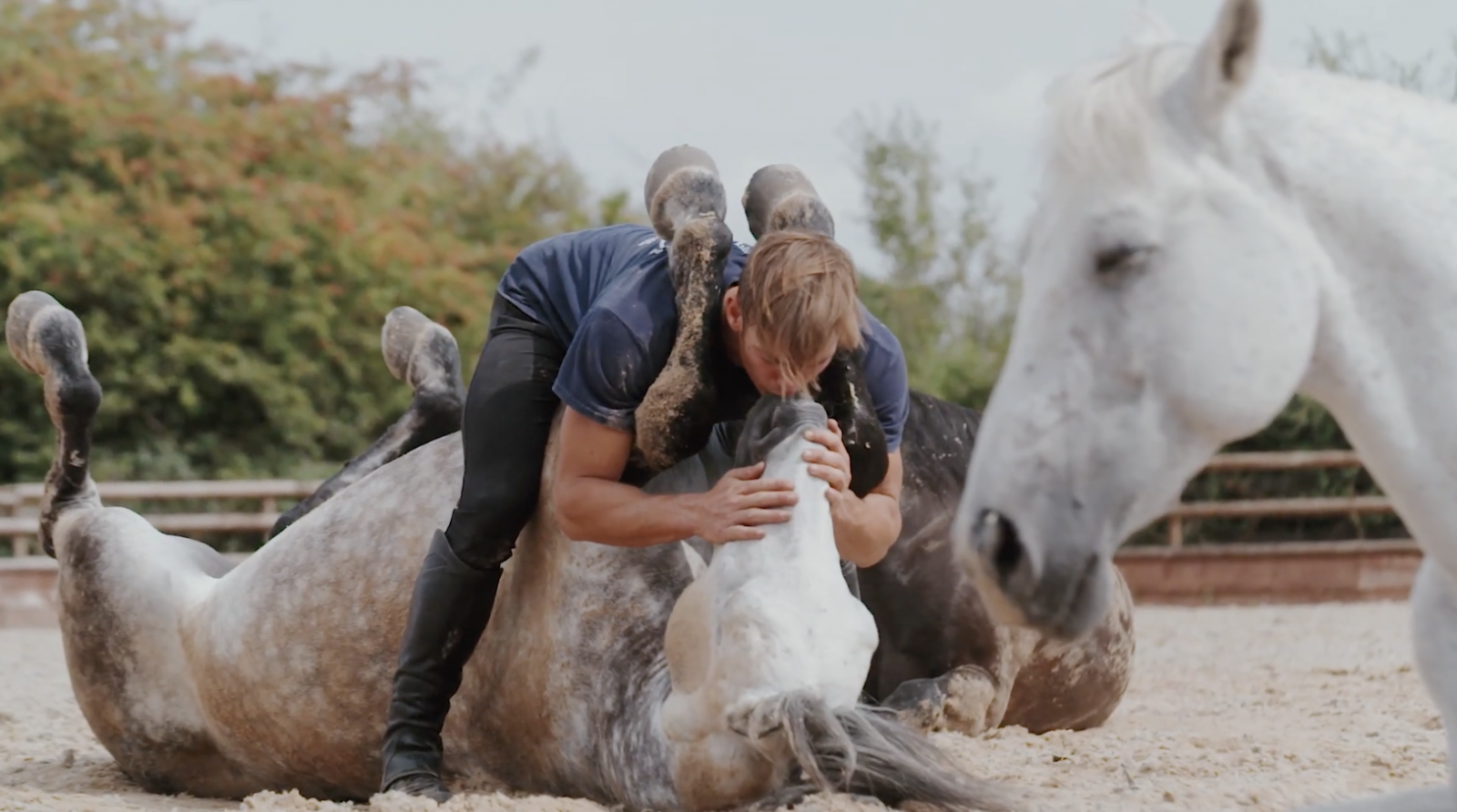 Thursday Video: Stunt Riding and Stud Farms and Stallions, Oh My ...