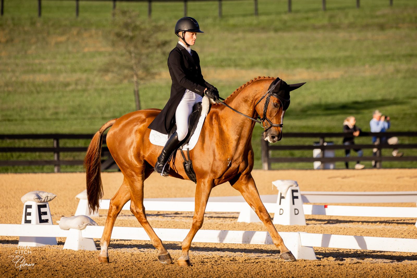 All Horses Pass Morven Park CCI4*-L Initial Horse Inspection | Eventing ...