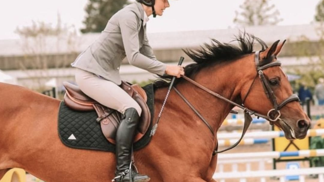 Four Things Every OTTB Owner Should Know About Saddle Fit | Eventing ...