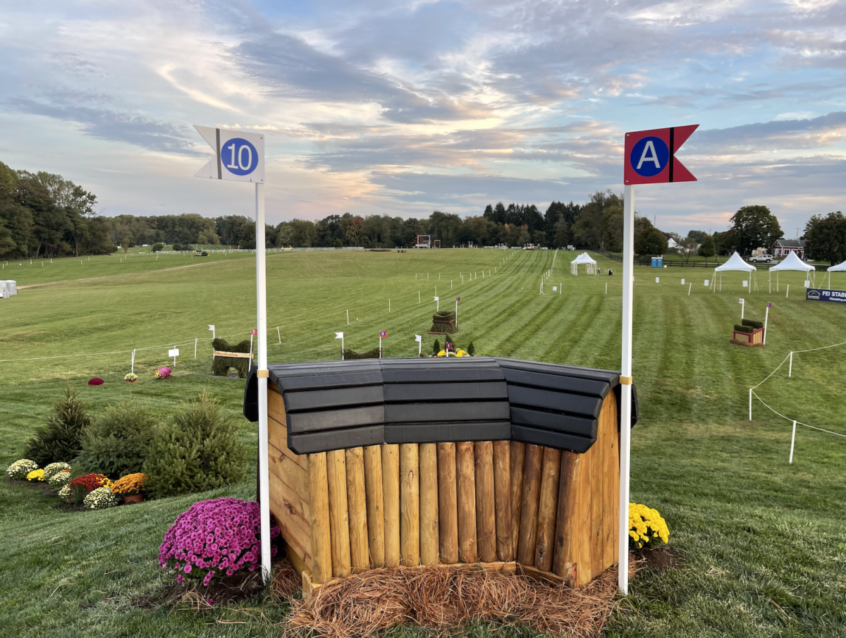 Hold Onto Your Butts, You’re Now in Jurassic Park: Previewing Ian Stark ...