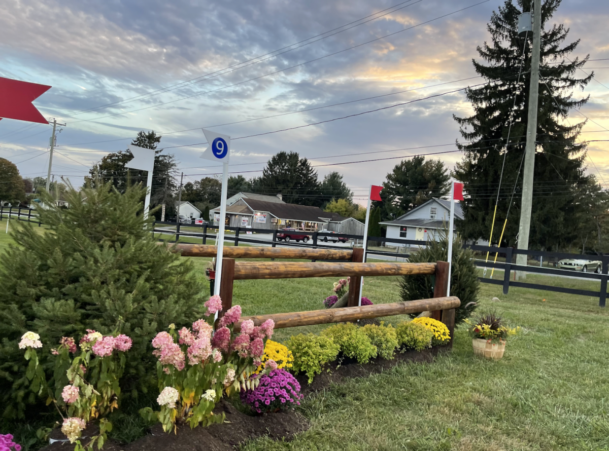 Hold Onto Your Butts, You’re Now in Jurassic Park: Previewing Ian Stark ...