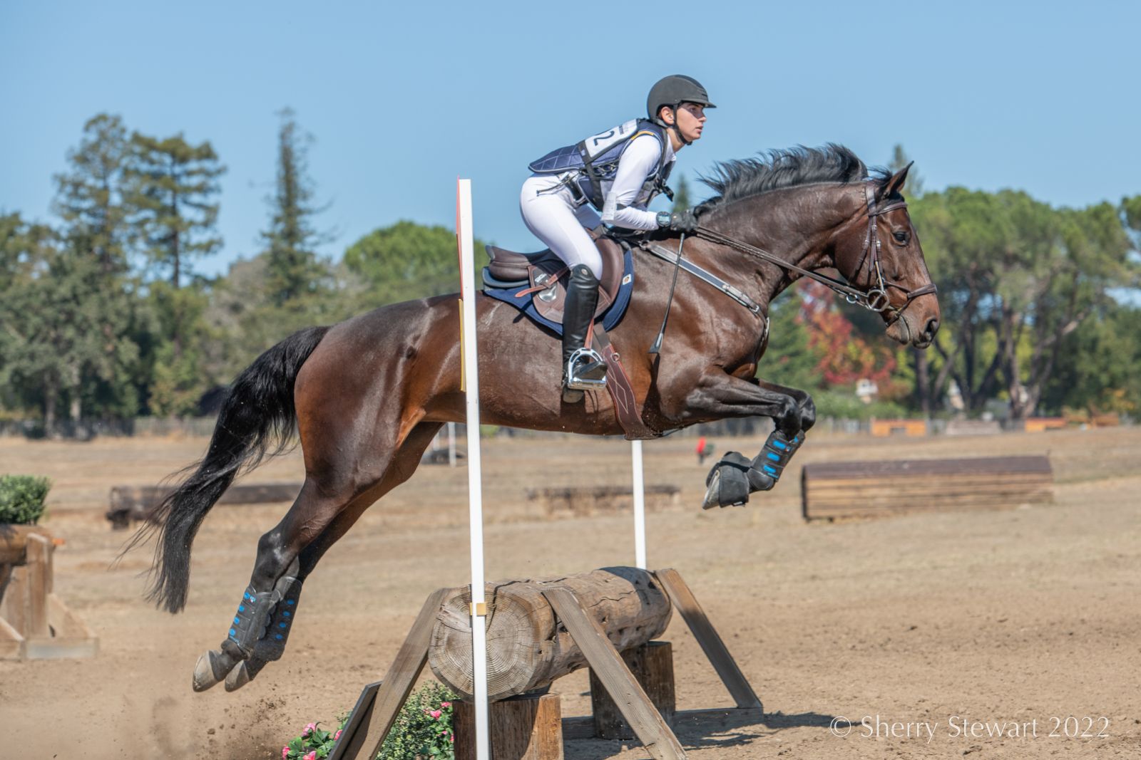 Who Jumped It Best? Woodside Beginner Novice Edition | Eventing Nation ...