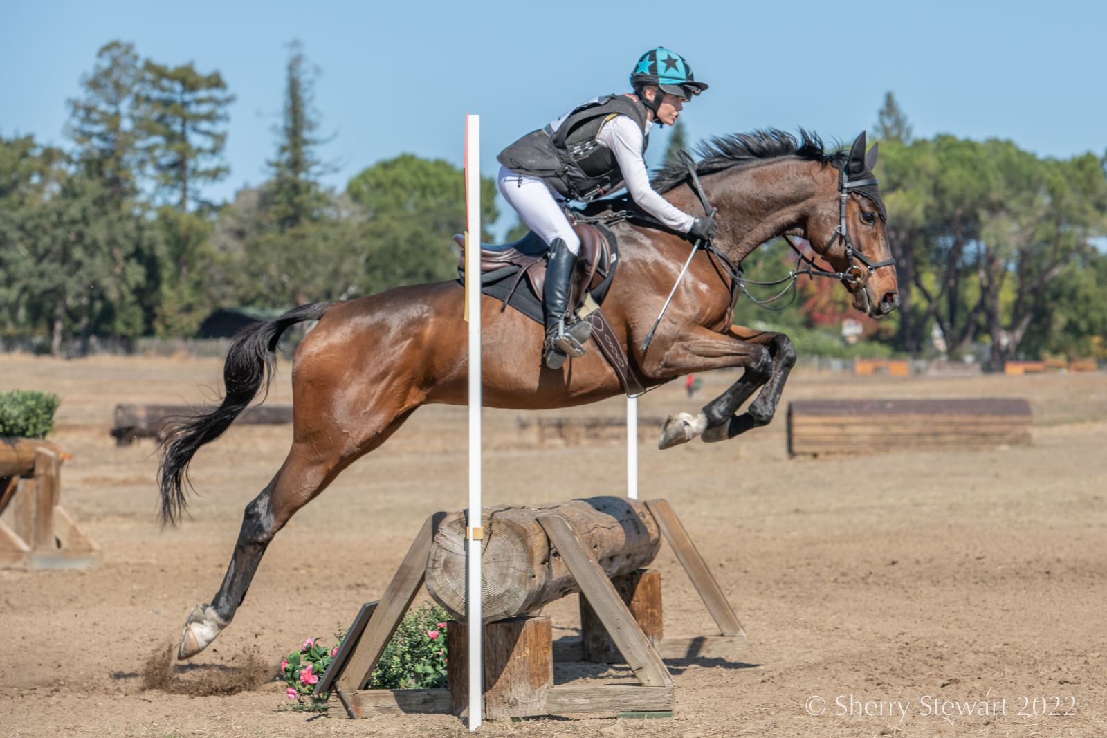 Who Jumped It Best? Woodside Beginner Novice Edition | Eventing Nation - Three-Day Eventing News ...