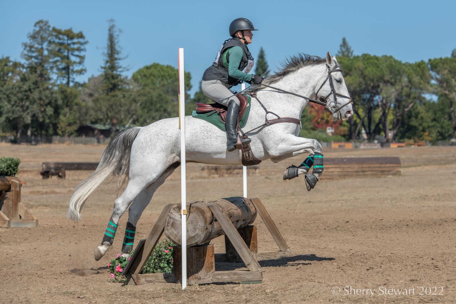 Who Jumped It Best? Woodside Beginner Novice Edition | Eventing Nation ...