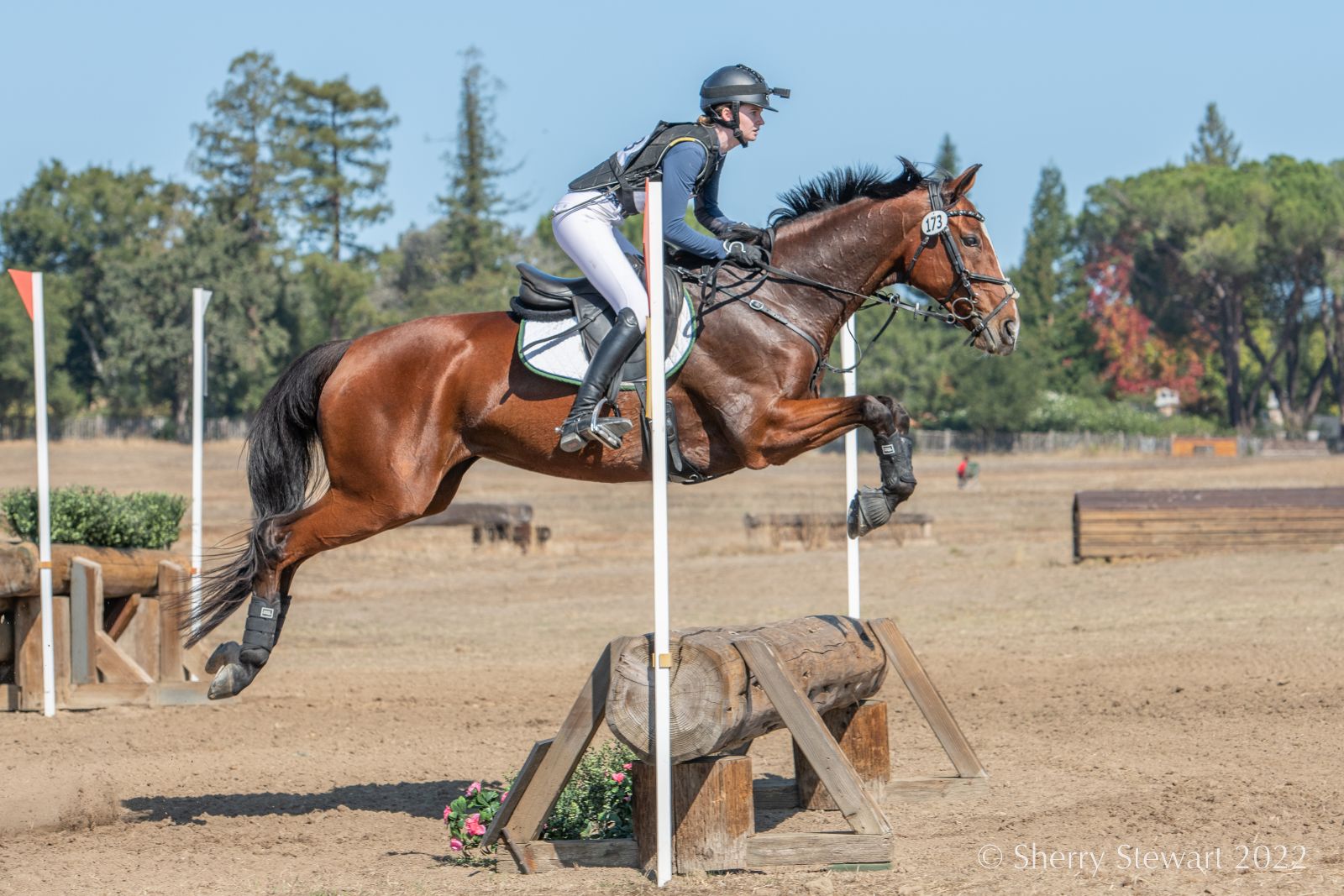 Who Jumped It Best? Woodside Beginner Novice Edition | Eventing Nation ...