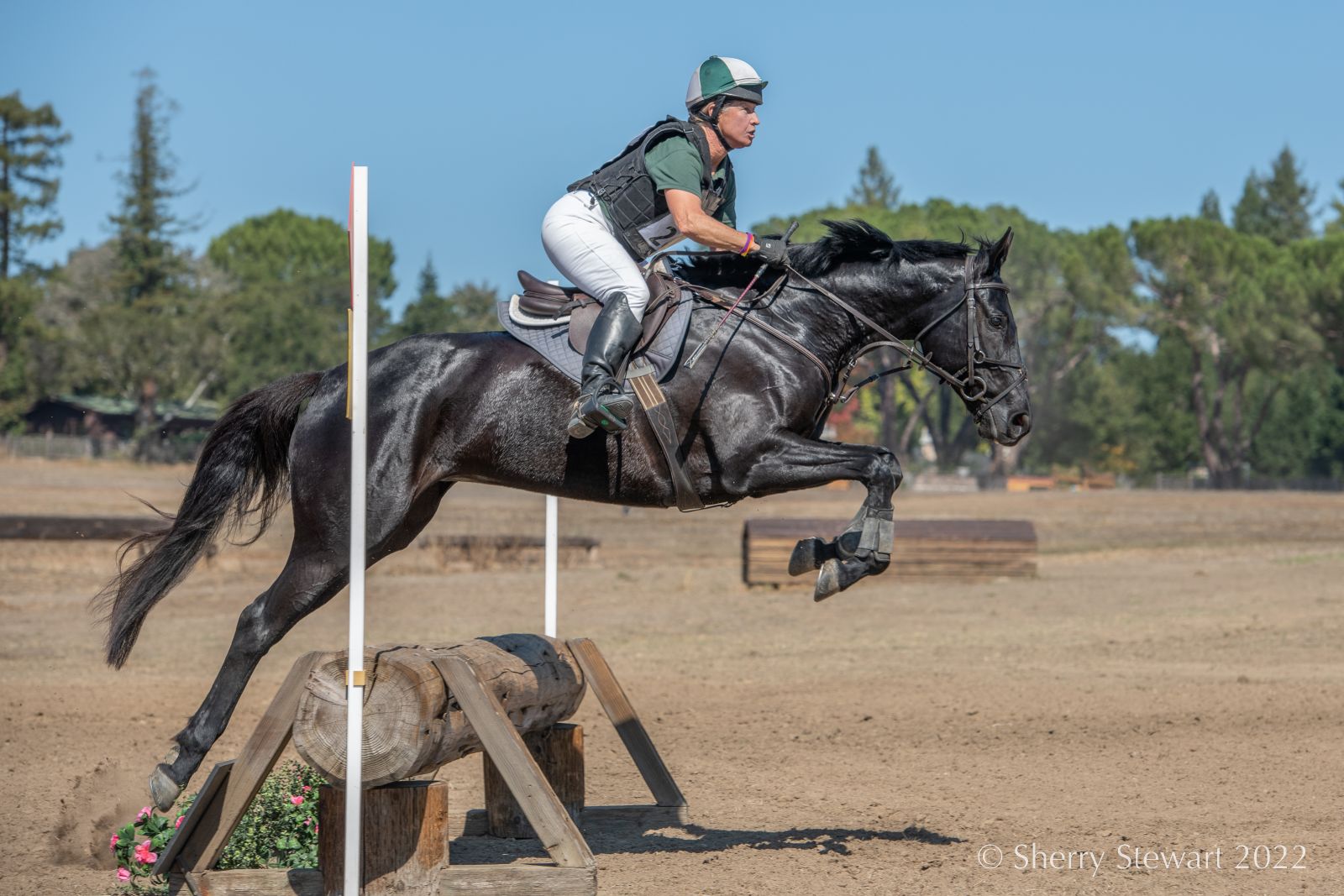 Who Jumped It Best? Woodside Beginner Novice Edition | Eventing Nation ...