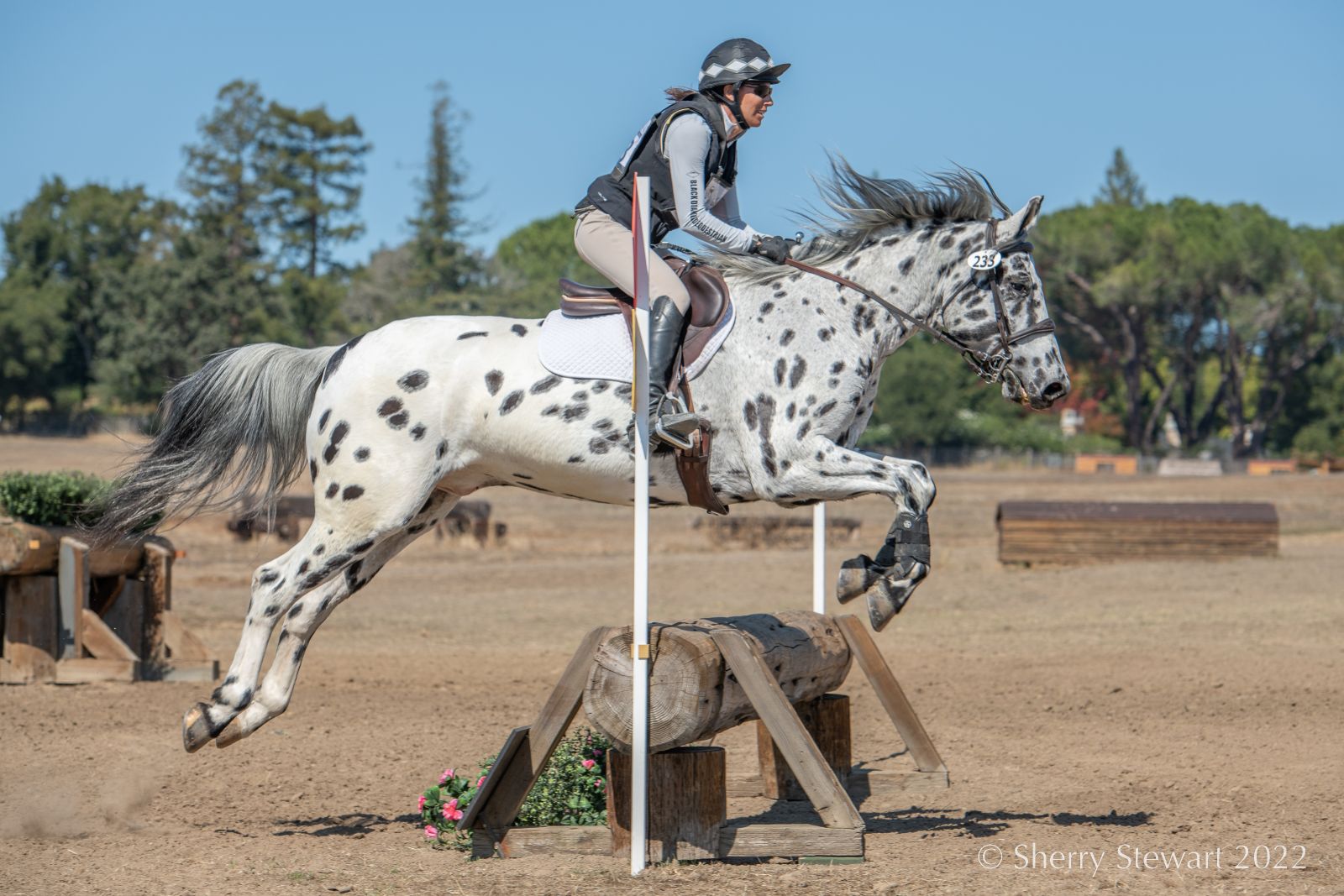 Who Jumped It Best? Woodside Beginner Novice Edition | Eventing Nation ...