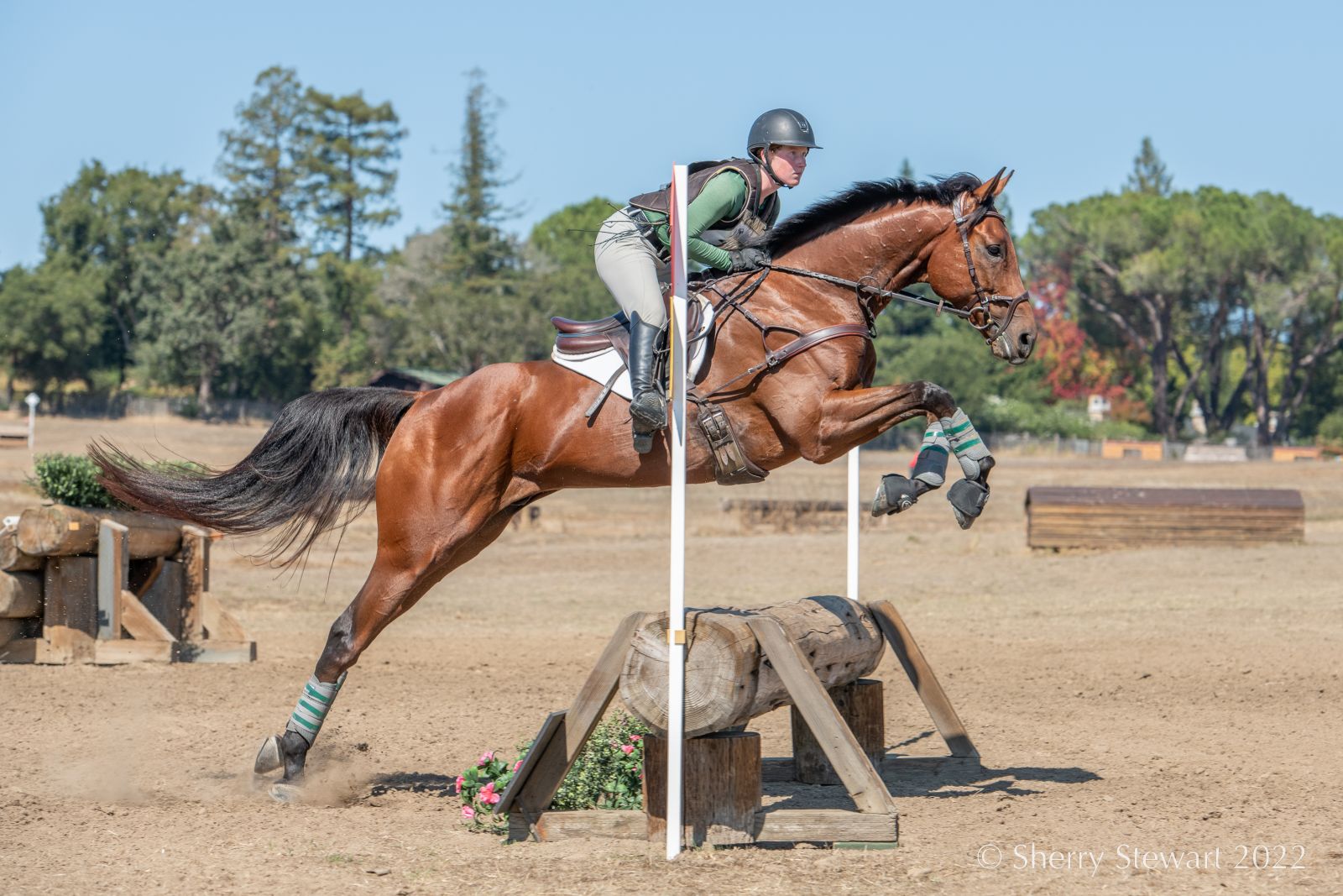 Who Jumped It Best? Woodside Beginner Novice Edition | Eventing Nation ...
