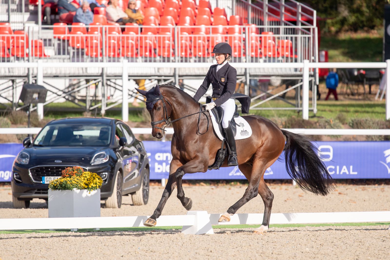 USA On the Board at Le Lion: Caroline Martin Leads the 6-Year-Olds, Liz ...