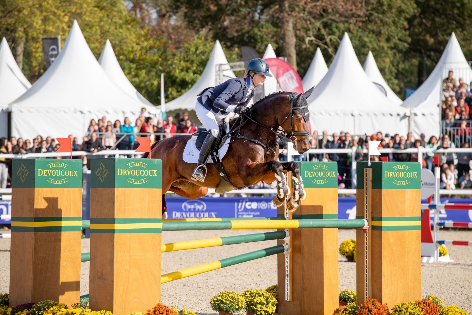 A Historic Win at Le Lion d’Angers for Anna Lena Schaaf + Strong ...