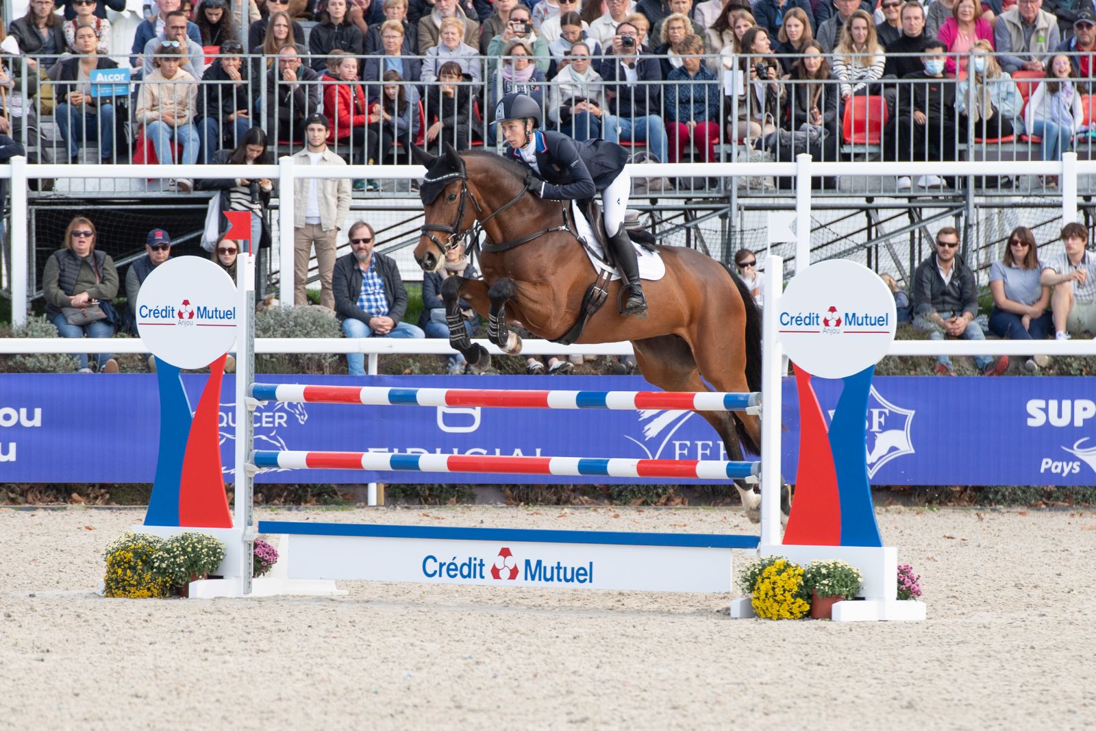 A Historic Win at Le Lion d’Angers for Anna Lena Schaaf + Strong ...