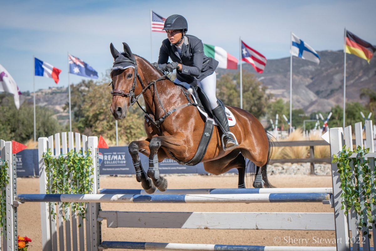 US Equestrian Releases Updated Qualification Requirements for National Levels | Eventing Nation ...