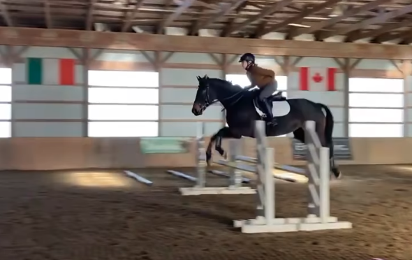 Video: It’s Hell Week at Sharon White’s | Eventing Nation - Three-Day ...