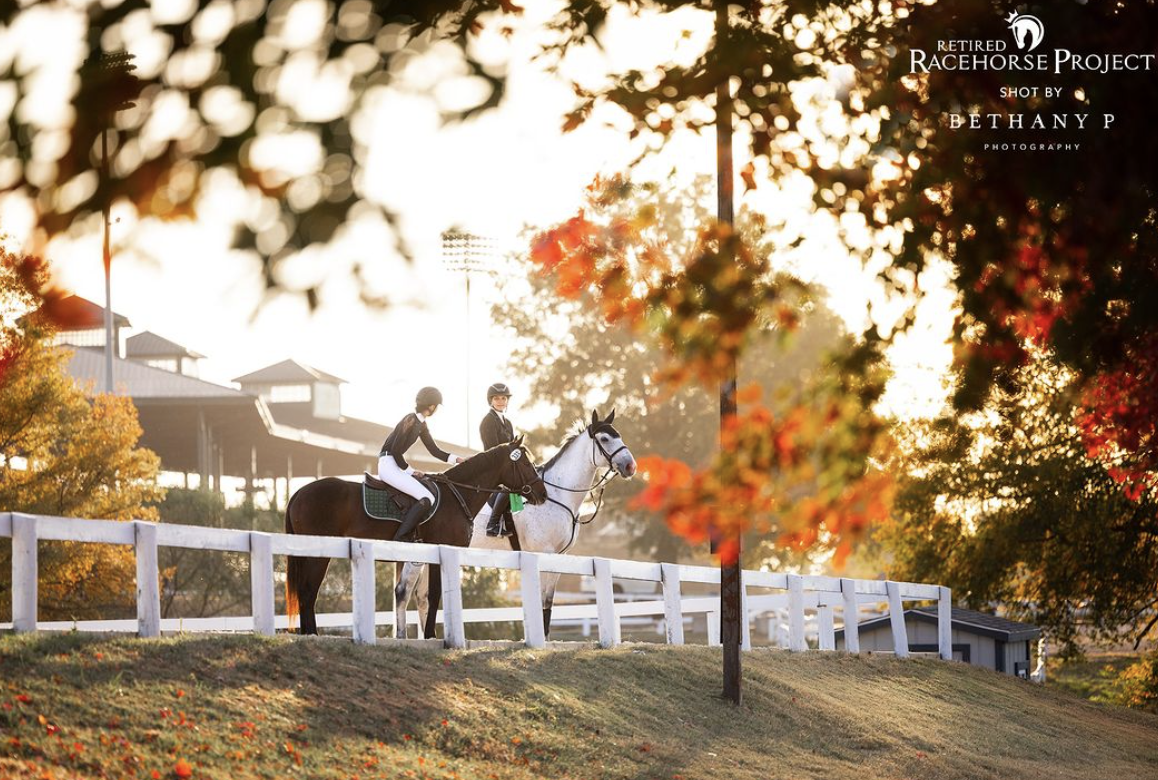 2023 Thoroughbred Makeover Applications Now Open for Submission ...