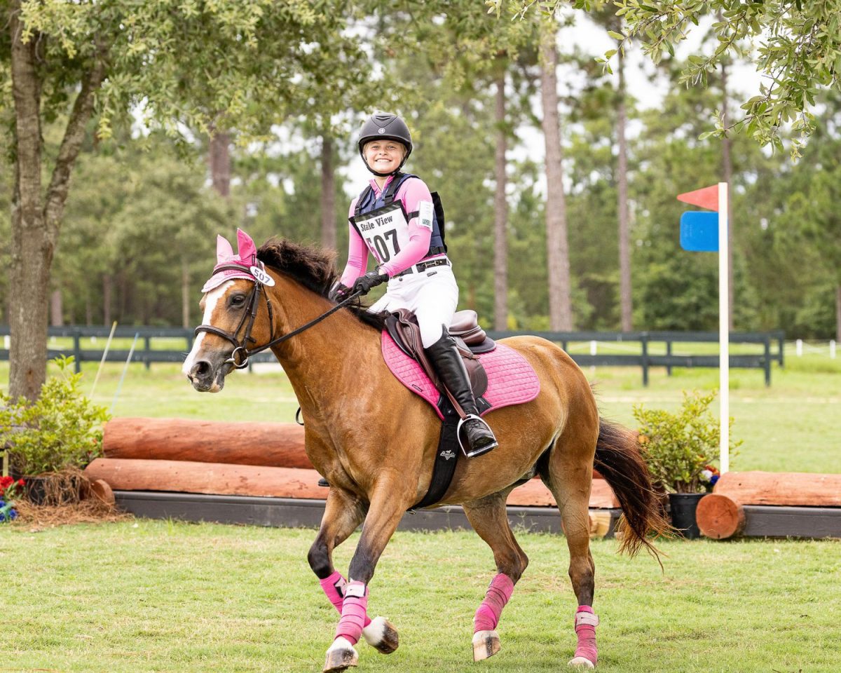 STRIDER Partners with StartBox Online Scoring for Eventing & Dressage ...