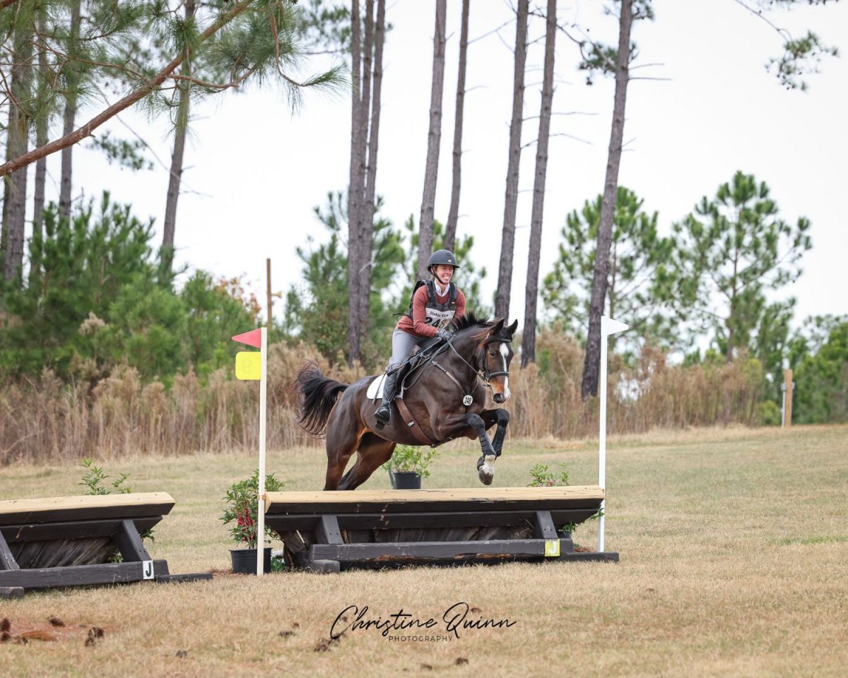 Stable View’s Eventing Academy: Keeping Eventing Accessible for All ...