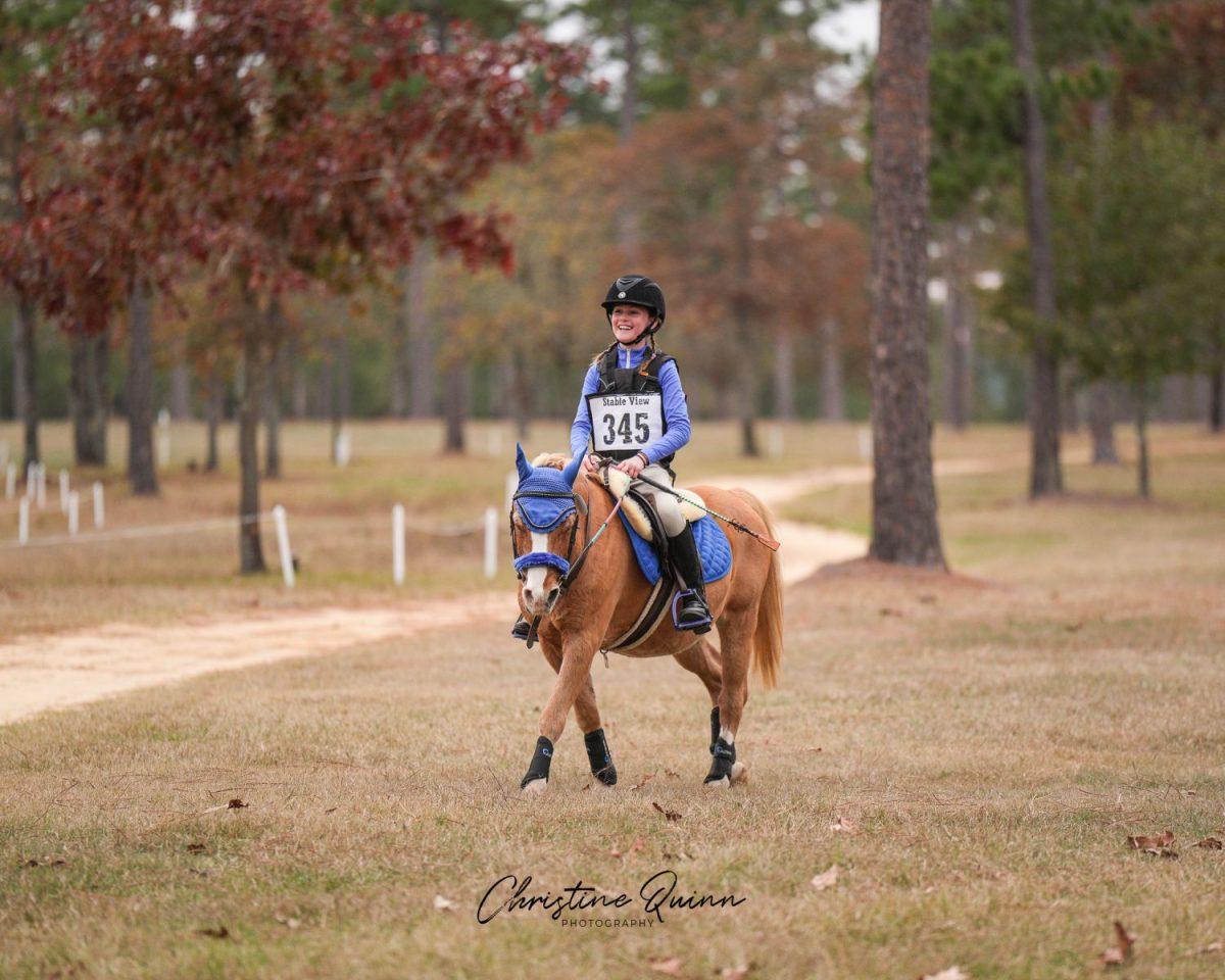 Stable View’s Eventing Academy: Keeping Eventing Accessible for All ...