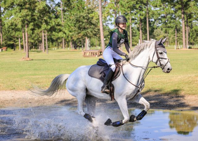 10 Reasons to Visit Stable View in Aiken, South Carolina | Eventing ...