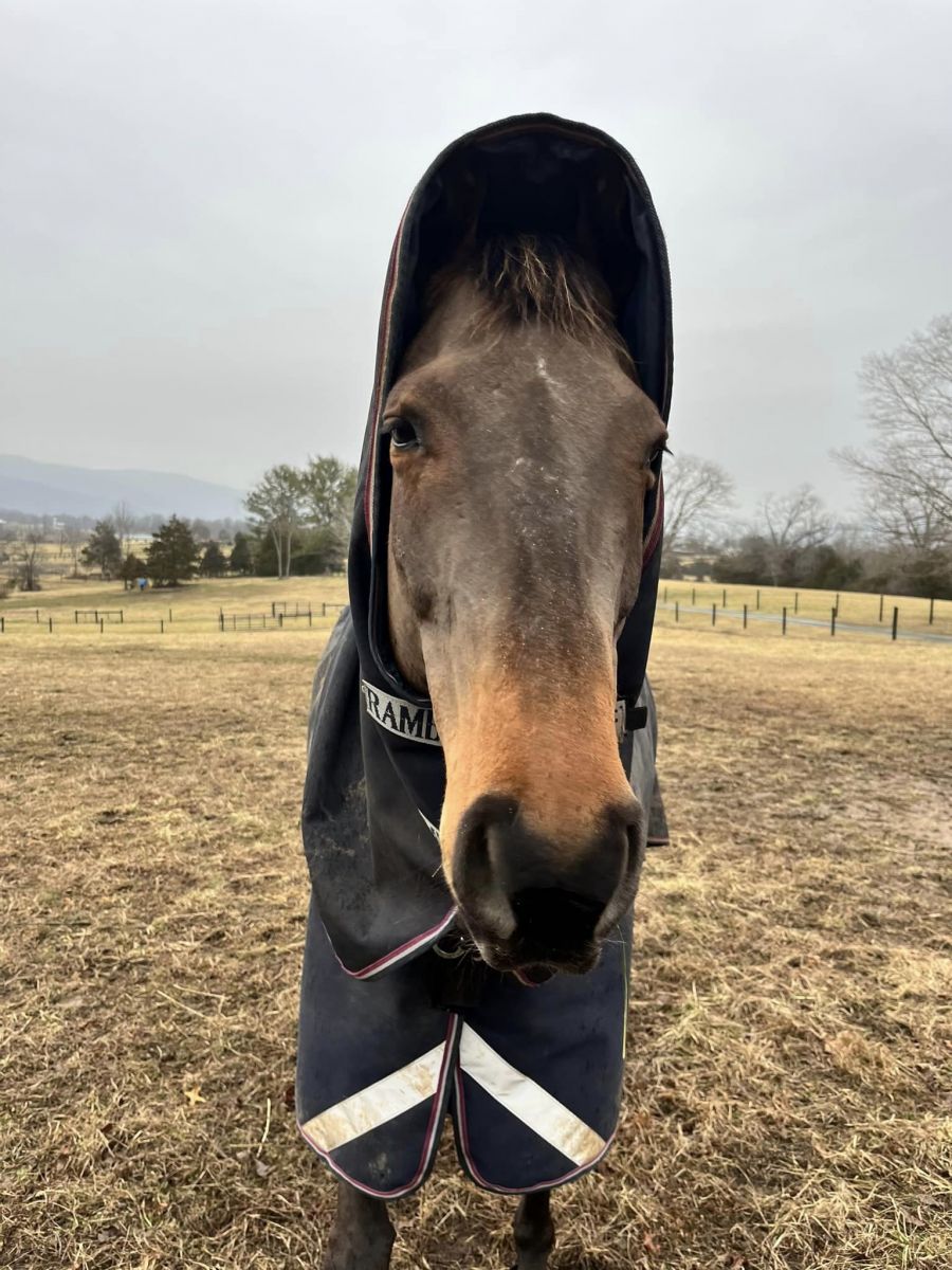 Friday News & Notes Presented by Stable View | Eventing Nation - Three ...