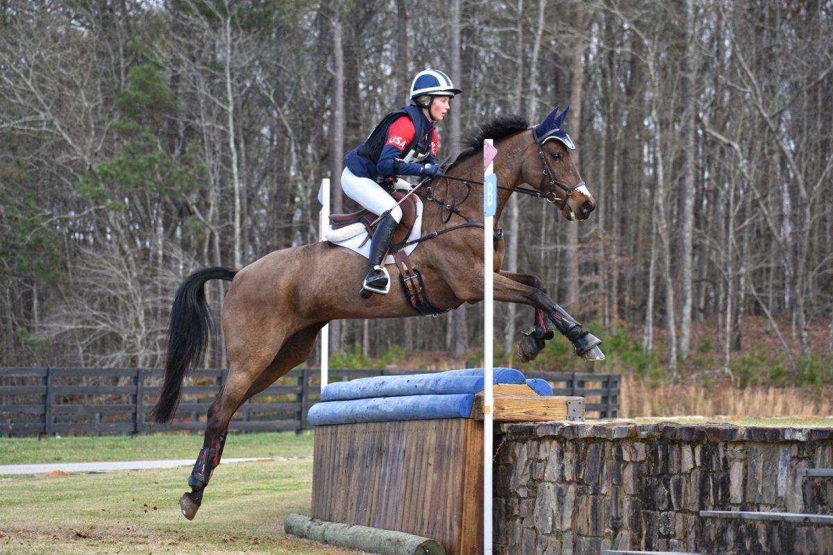 Gallery: Leslie Law and Voltaire de Tre Top $10k Chattahoochee Hills ...