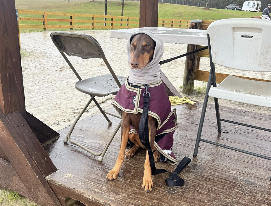 Weekend Winners: Chattahoochee Hills, SAzEA, Southern Pines, Full ...