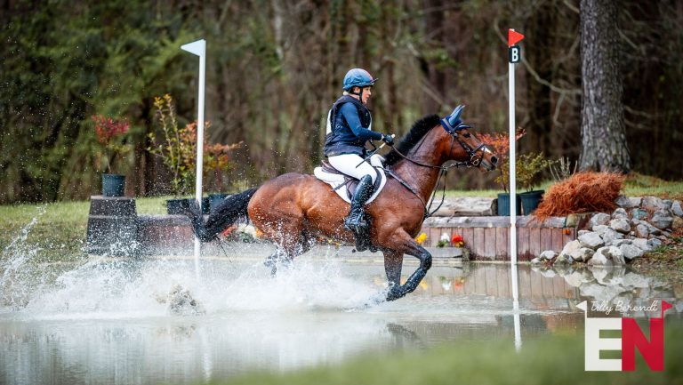 Doing Our Best for Our Horses with Allison Springer | Eventing Nation ...