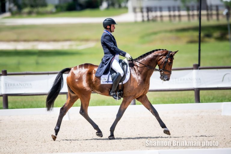 EN’s Guide to the Horses & Riders of the $100k Stirling Venture Capital ...