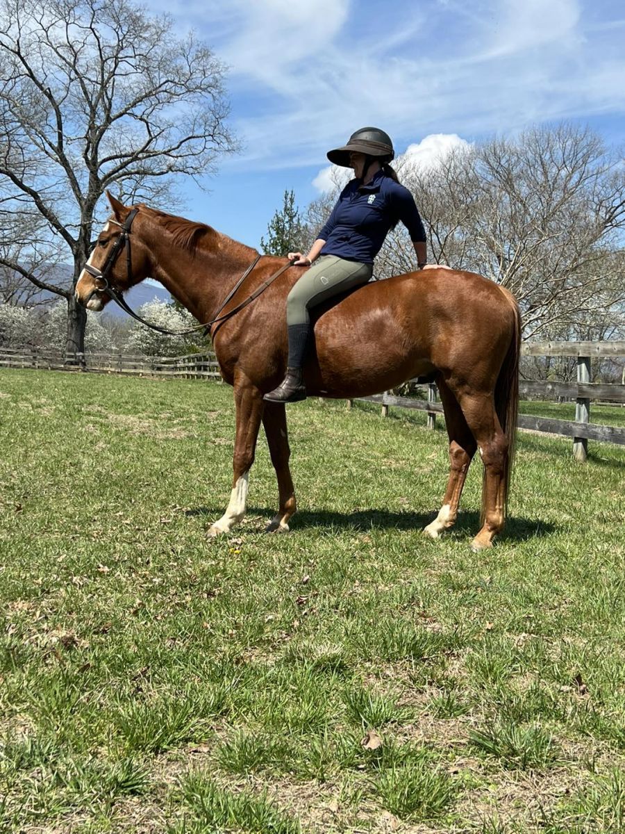 Friday News & Notes Presented by Stable View | Eventing Nation - Three ...