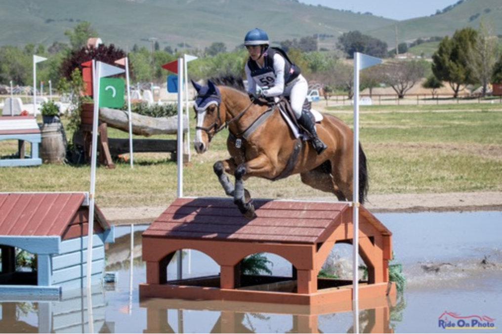 FEI Long Format Recap: Sibling Horses with Married Riders Win FEI Classes at Twin Rivers Spring ...