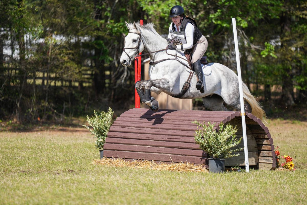 Classic Eventing Nation | Eventing Nation - Three-Day Eventing News ...