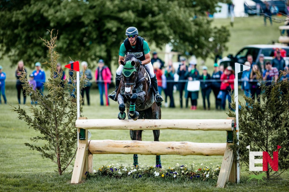 Four-Star Short Stories from a Weekend in the Mixed Zone | Eventing ...
