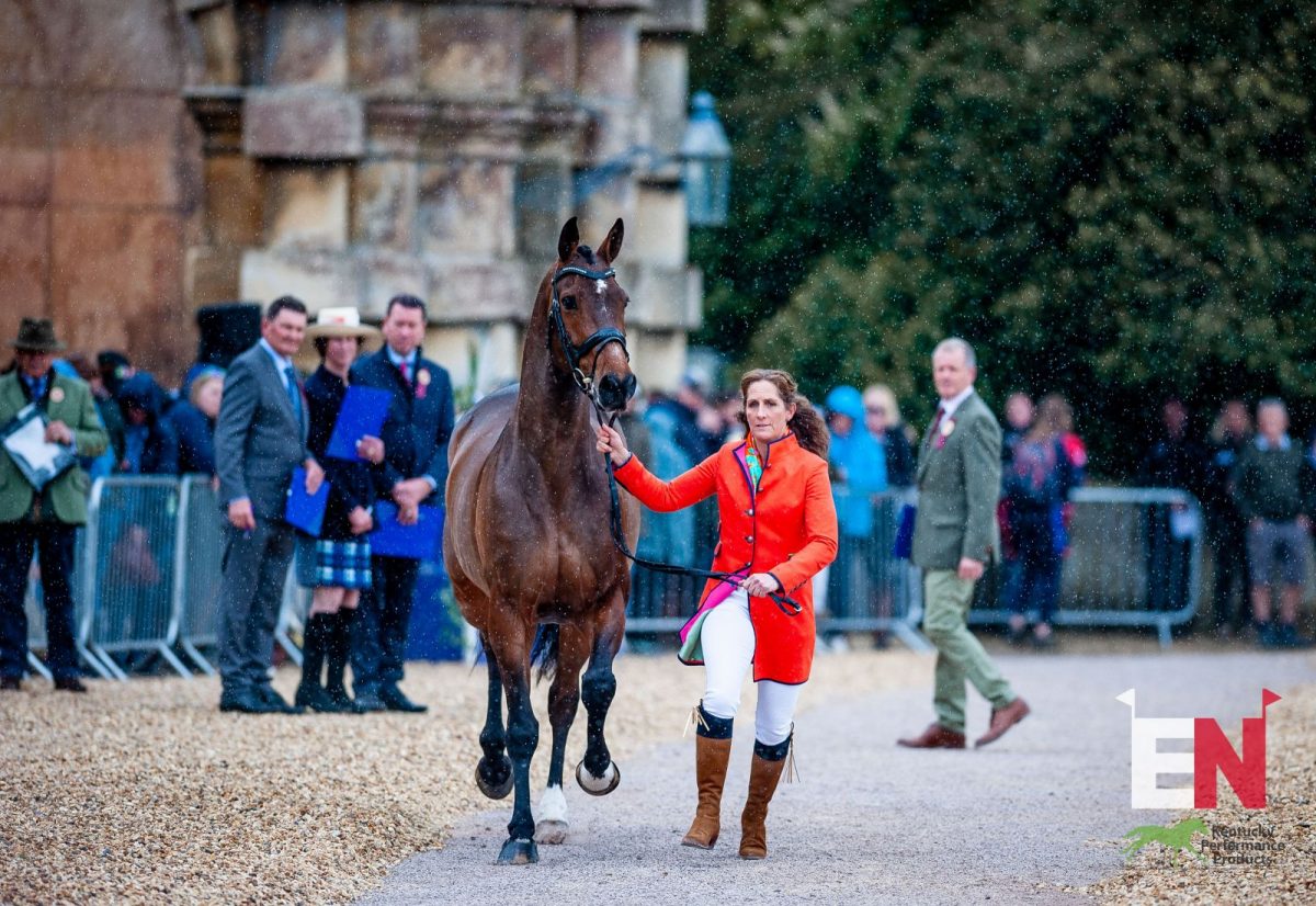 Movers, Shakers, and Heart Horses: Team EN Makes Their Picks for ...