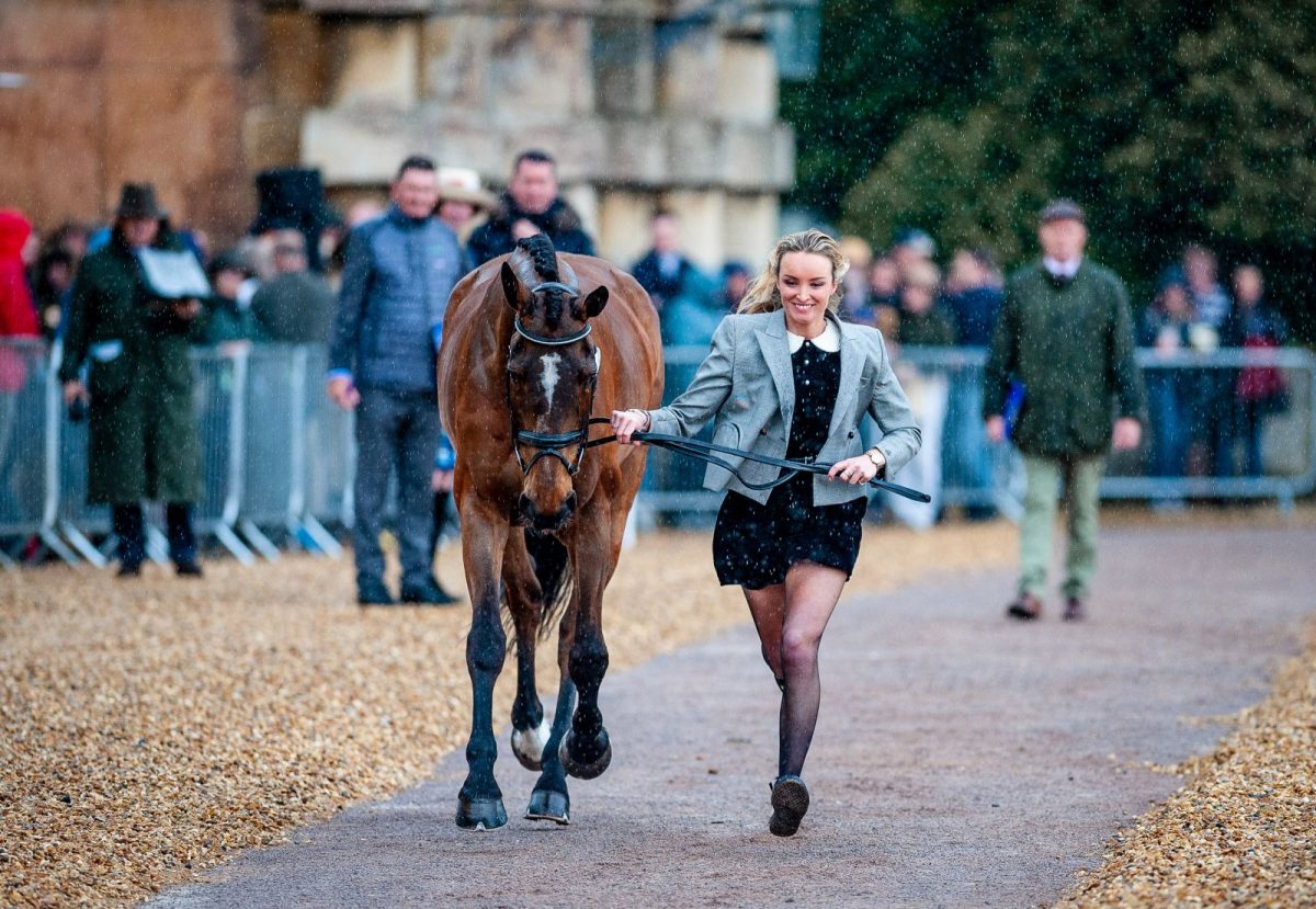 Crown Jewels On Show and Goths On Tour: The Badminton Golden Chinch ...