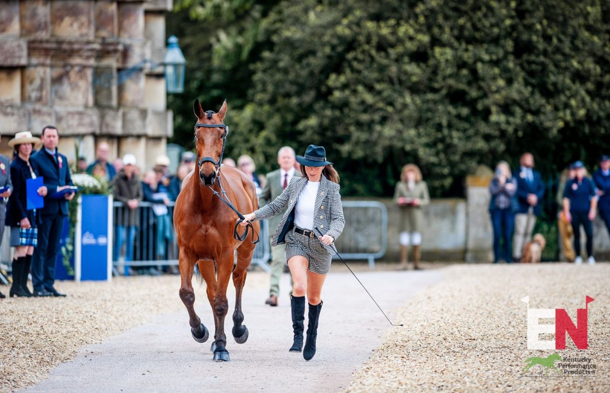 Fiona Kashel’s WSF Carthago Euthanized After Badminton Injury | Eventing Nation - Three-Day ...