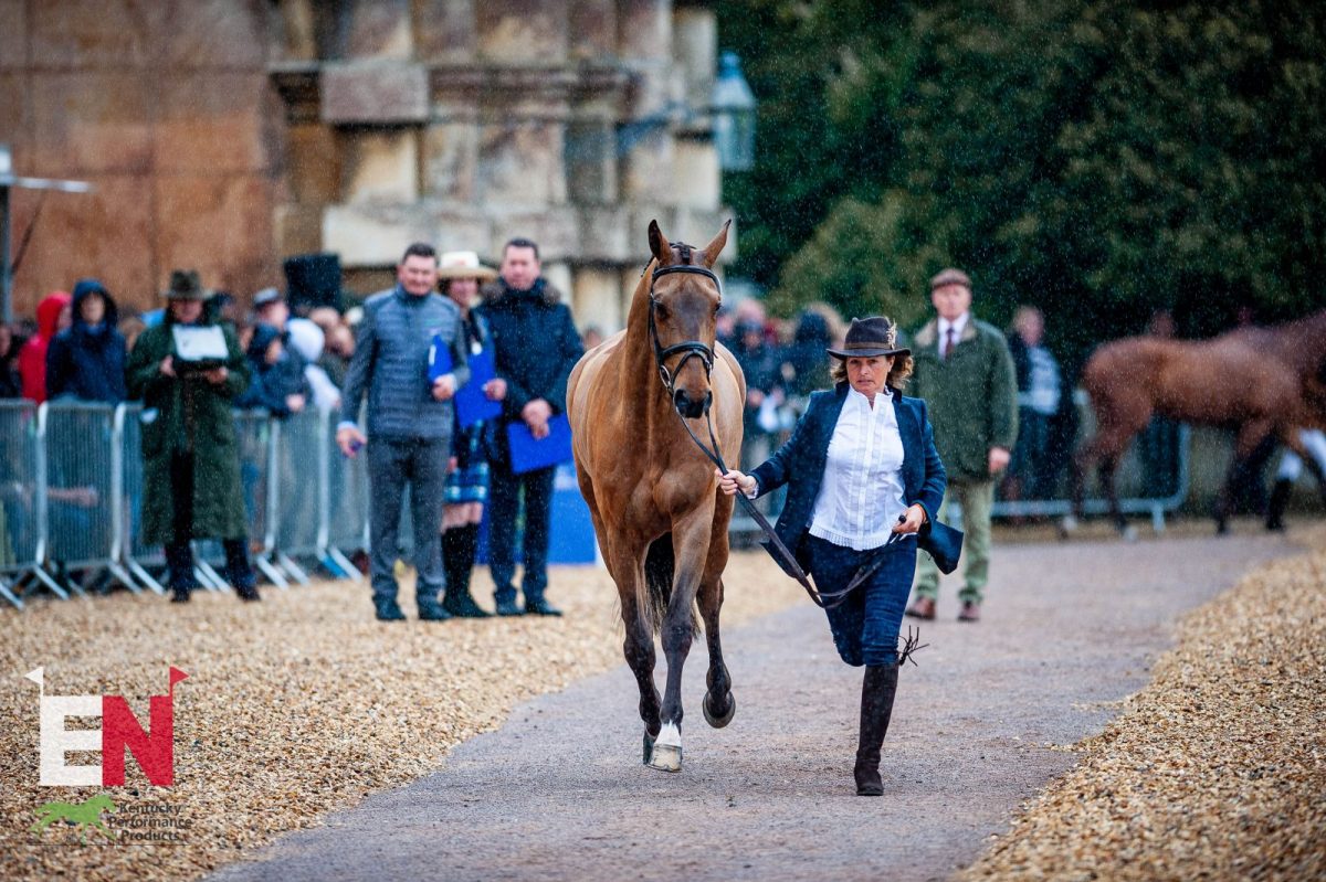 FHI_SelinaMilnes_IRON | Eventing Nation - Three-Day Eventing News ...