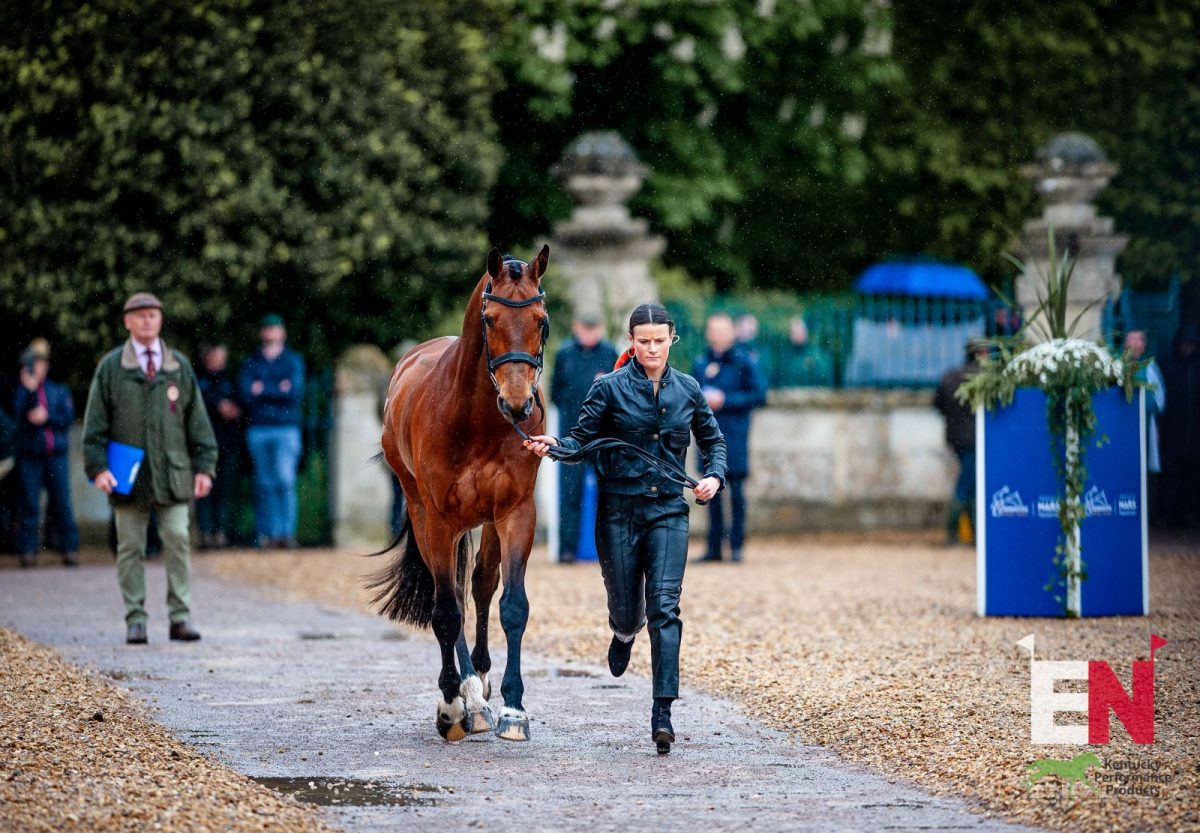 Classic Eventing Nation | Eventing Nation - Three-Day Eventing News ...