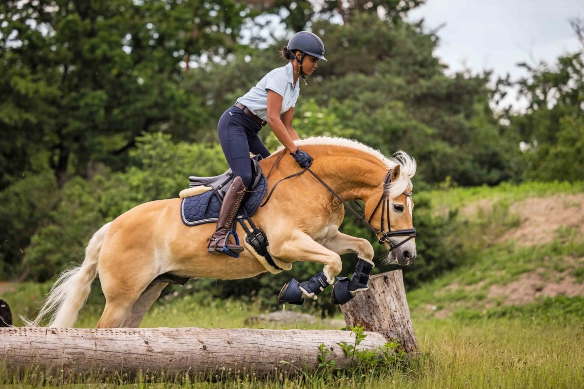 7 Reasons Our Brains Put on the Brakes When We Ride: An Excerpt from ...